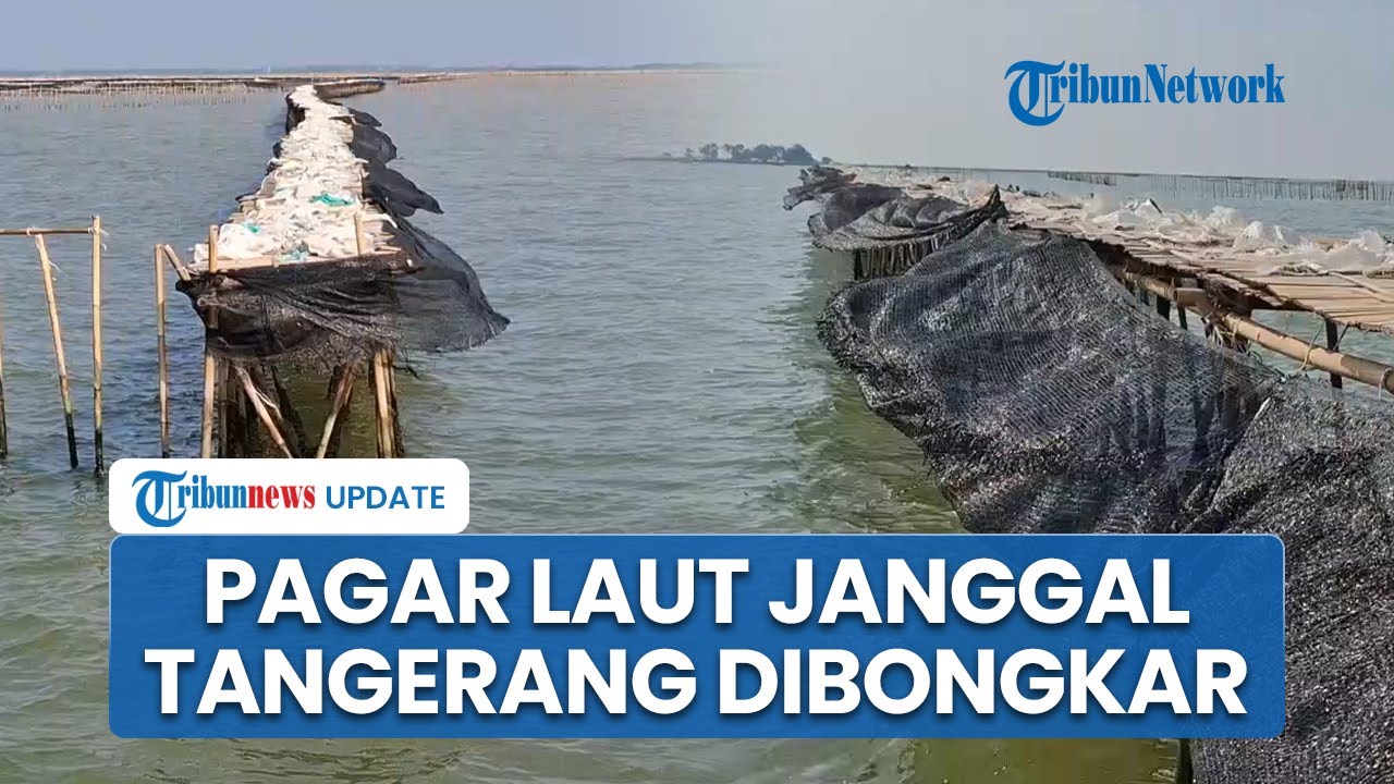 TNI AL Akan Bongkar Pagar Laut Misterius di Tangerang, Para Nelayan 'Nangis', Tangkapan Ikan ...