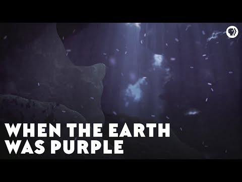 The Purple Earth Hypothesis | Evolutionary Stories