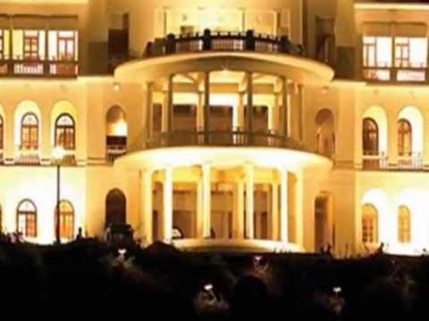 The Royal Orchid