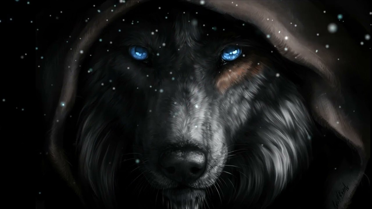 Black Wolf Face Live Wallpaper