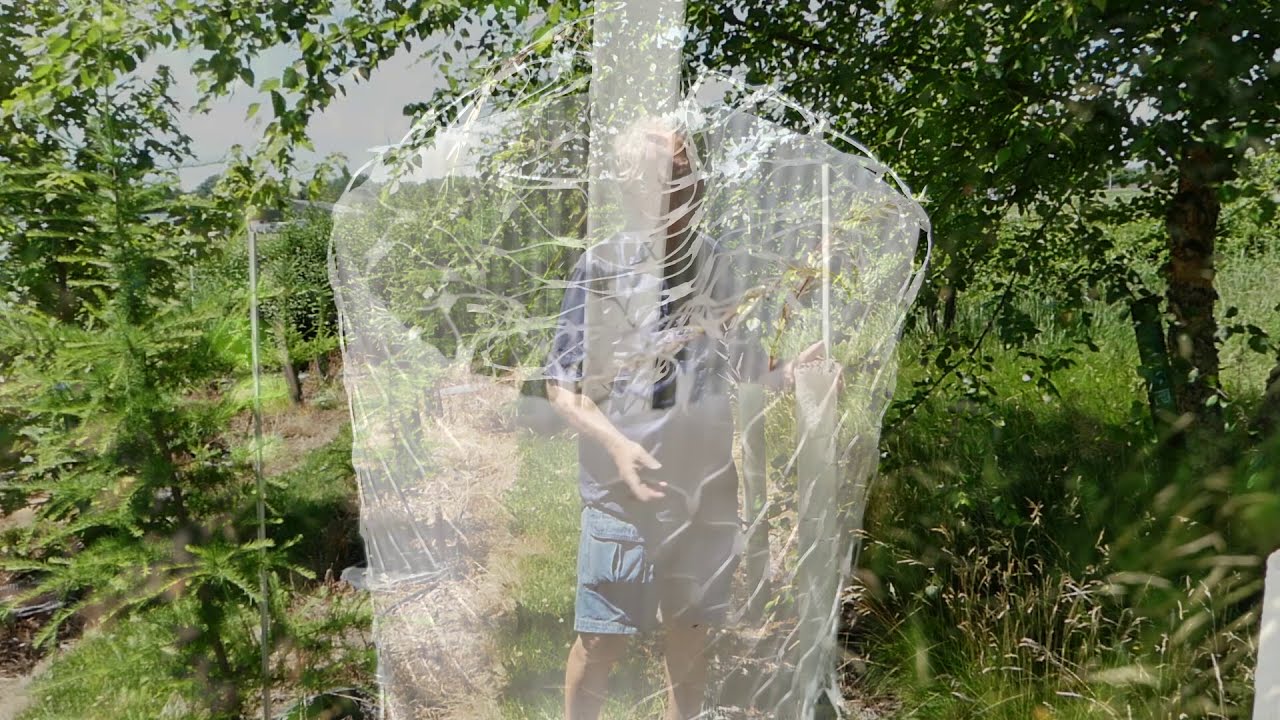 Grow Tubes for Small Trees