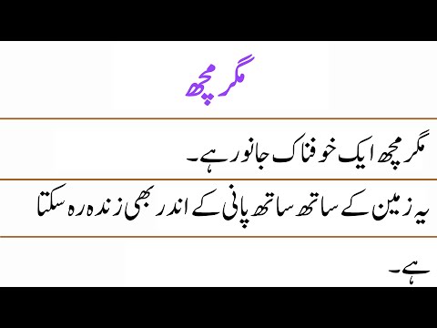 10 Lines on Crocodile in Urdu || 10 Lines Essay on Crocodile in Urdu