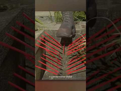 Vietnam Booby Traps #shorts