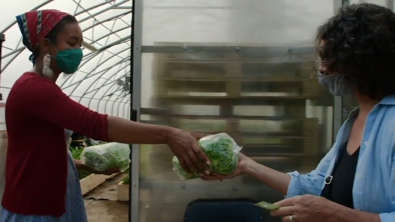 Sundance Harvest founder opens greenhouse to grow food justice community