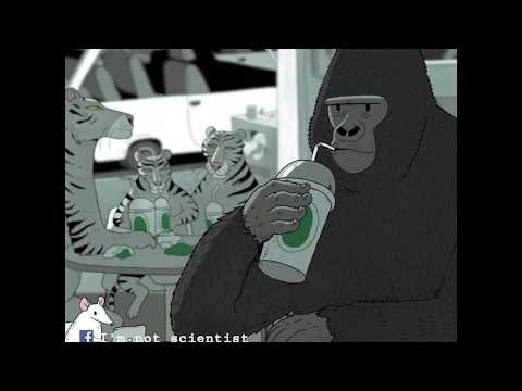 When #humans switch places with #animals | bluesyemre