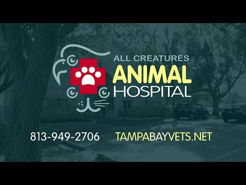 Welcome to All Creatures Animal Hospital