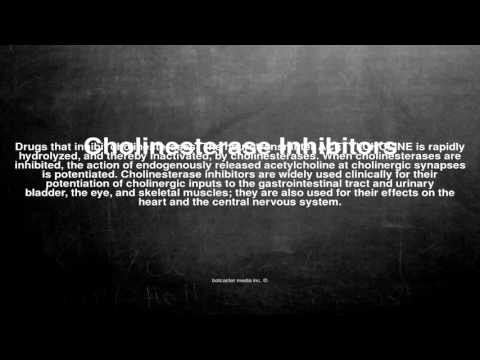 Medical vocabulary: What does Cholinesterase Inhibitors mean