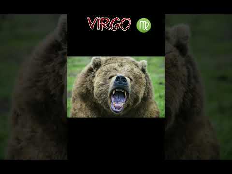 Zodiacs as animals #pisces #virgo # Aries #capacorn #libra #leo #scopio #sagittarius #Aquarius