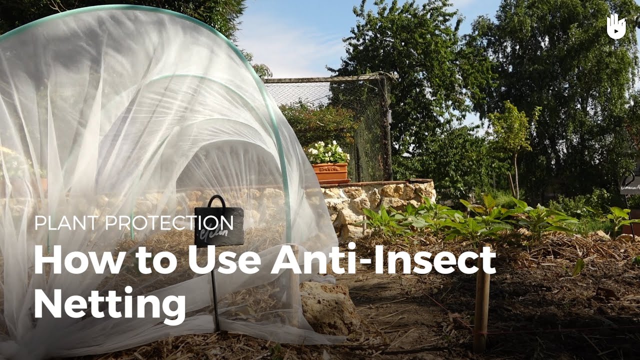 How to use anti-insect netting - Grow an Organic Garden | Sikana