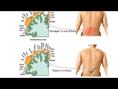 A quick & dirty overview on chronic pain + some techniques I’ve used to help my husband & patients