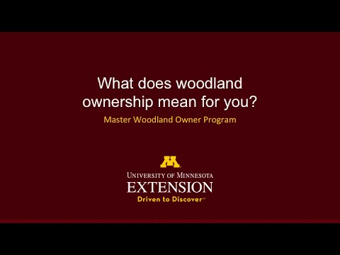 What does woodland ownership mean for you?