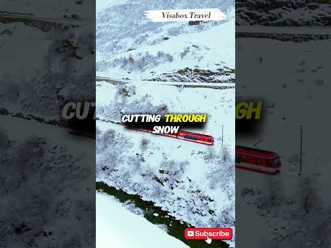 Top 5 Scenic Train Rides in the World #shorts_#TrainJourneys_#TravelFacts_#ScenicViews_#viral