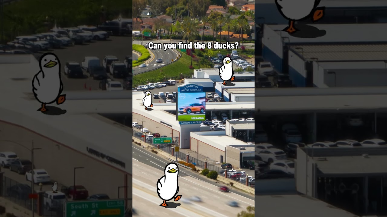 Only 1% can spot all 8 ducks in 6 seconds! 👀🦆