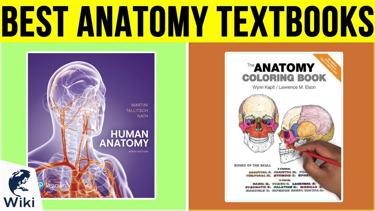 10 Best Anatomy Textbooks 2019