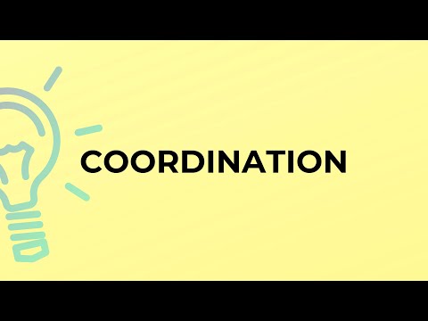 What is the meaning of the word COORDINATION?