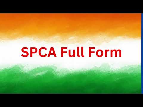 SPCA Full Form