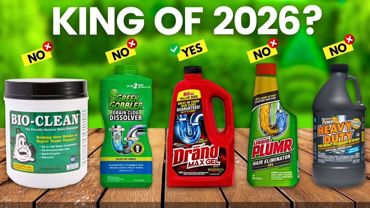 6 Best Drain Cleaner 2026