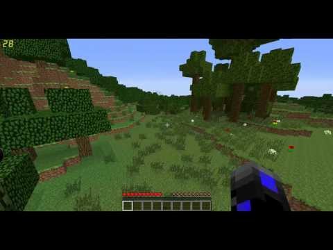 Minecraft Starter World Minecraft Project