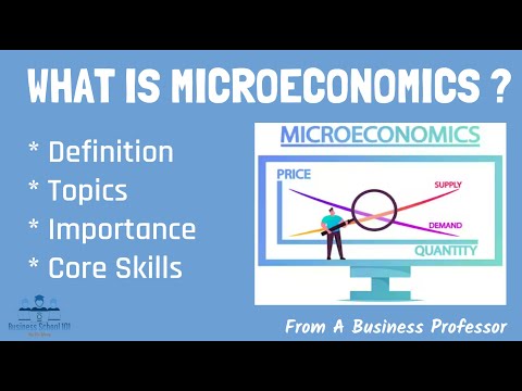 What is Microeconomics? | From A Business Professor