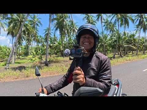 Coconut Plantation In Bintan Riau Islands Indonesia