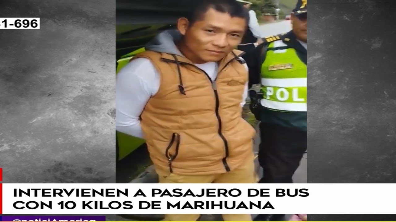 Cusco: Policía internivo a pasajero de bus con 10 kilos de marihuana