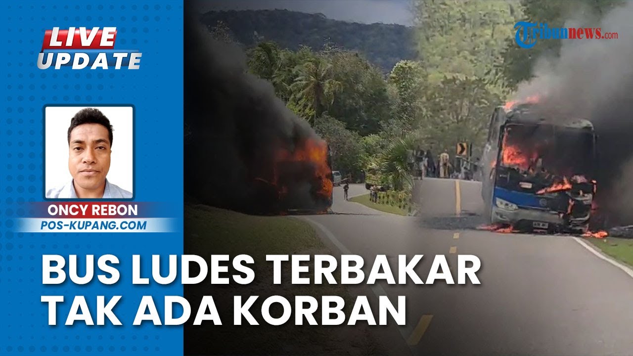 Kronologi Bus Babadok Rute Kupang-Timor Leste Terbakar, 9 Penumpang dan ...