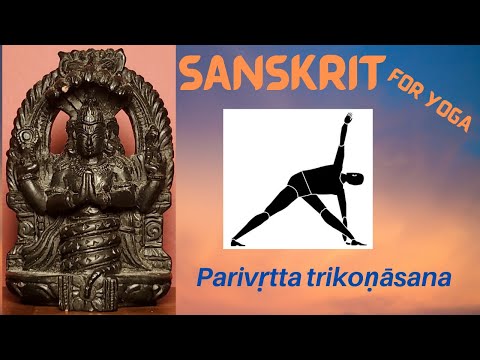 Parivṛtta trikoṇāsana: revolved triangle pose. Learn to pronounce the Sanskrit names for yoga poses