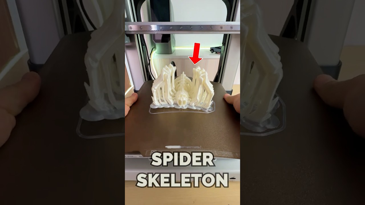 3D Printed Spider Skeleton