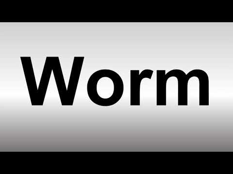 How to Pronounce Worm