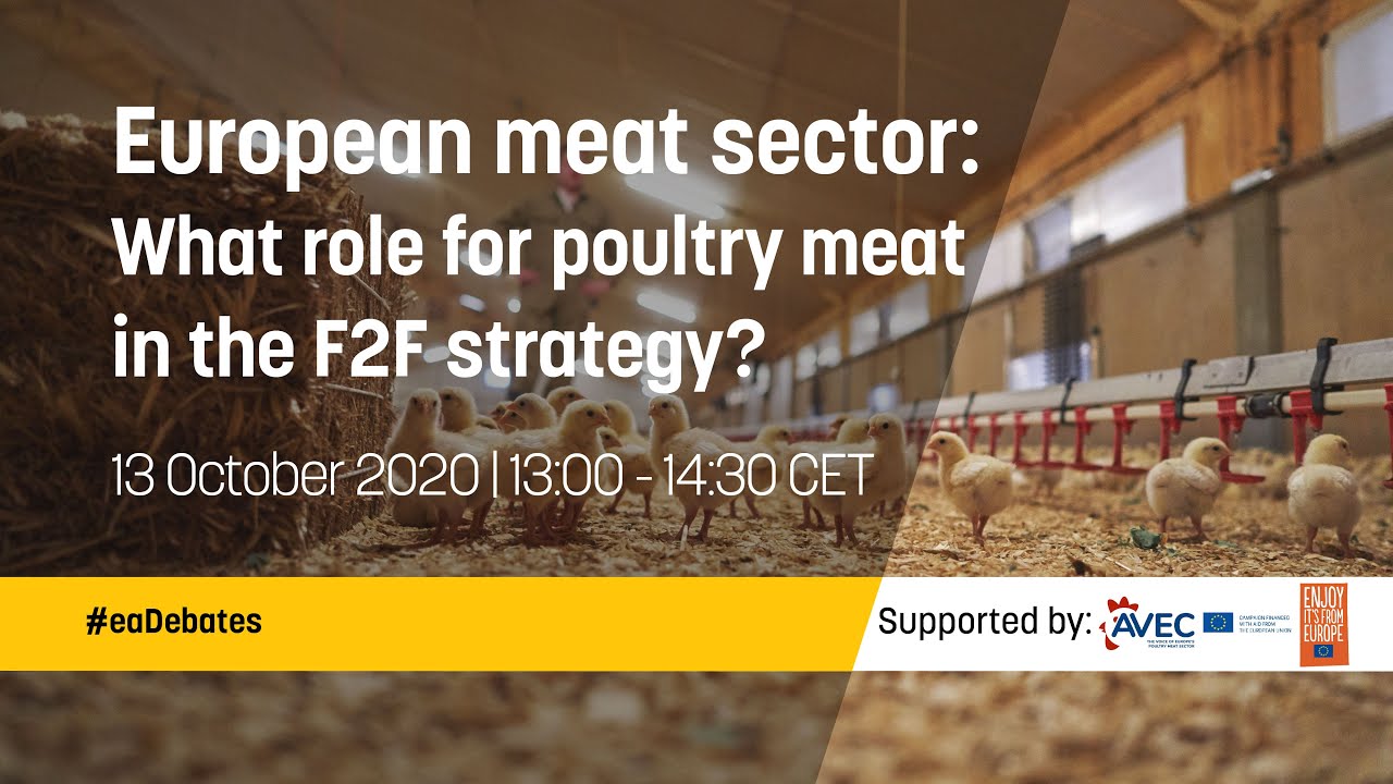 European meat sector: What role for poultry meat in the F2F strategy?