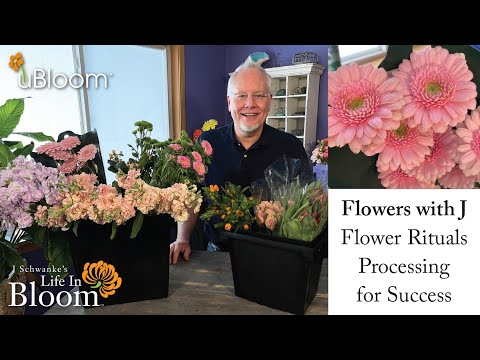 Processing Flowers Ritual - LIVE With J