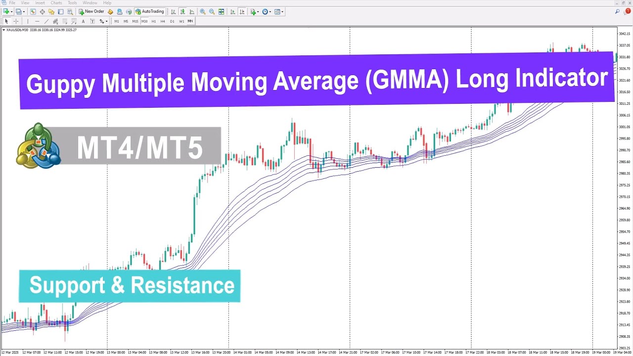 Understanding the Guppy Multiple Moving Average Long Indicator for Trading | Galaxy.ai