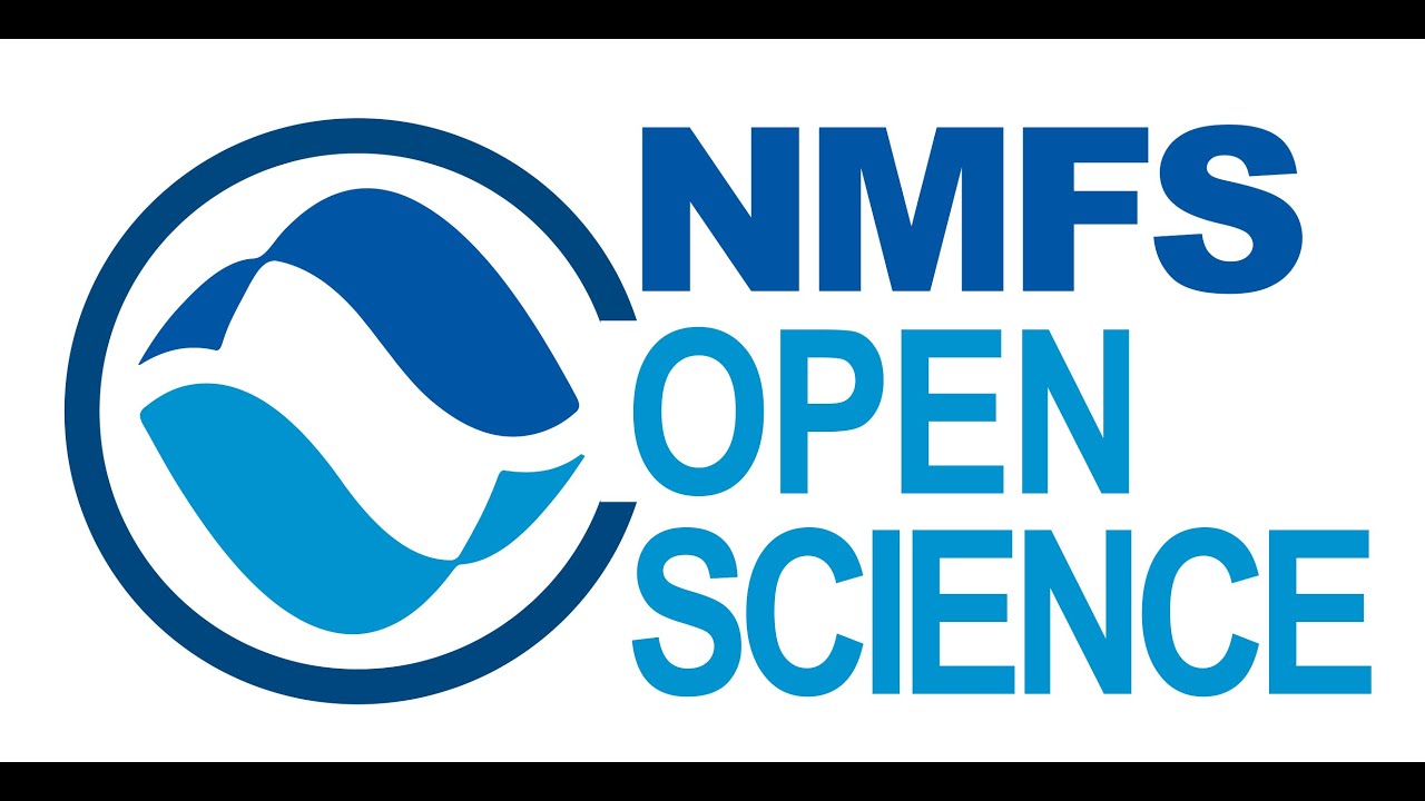 quarto-thesis: rendering in Visual Studio Code