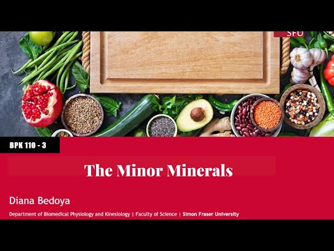 Overview of the Minor Minerals