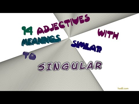 singular - 15 adjectives synonym to singular (sentence examples)