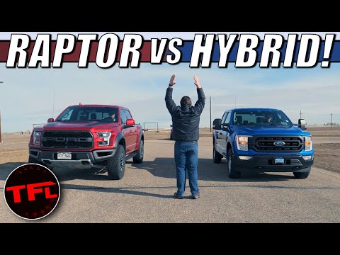 Basic 2021 Ford F-150 Wins Drag Race Against F-150 Raptor - autoevolution