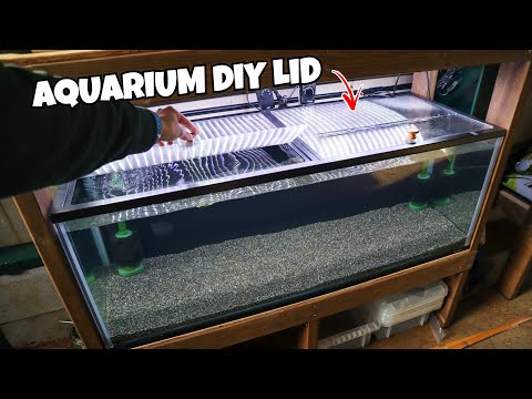 Top Fin 40G Tank...does a lid exist? - General Chat - C.A.R.E.