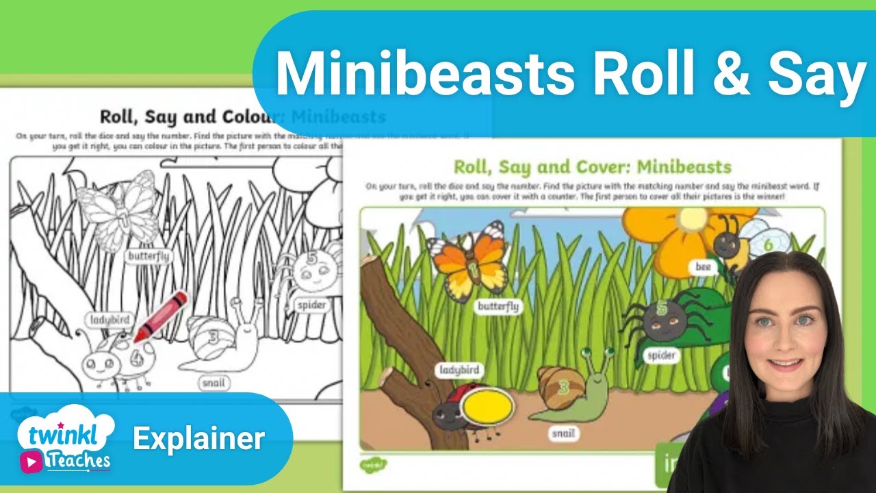 Minibeasts Roll and Say Activity