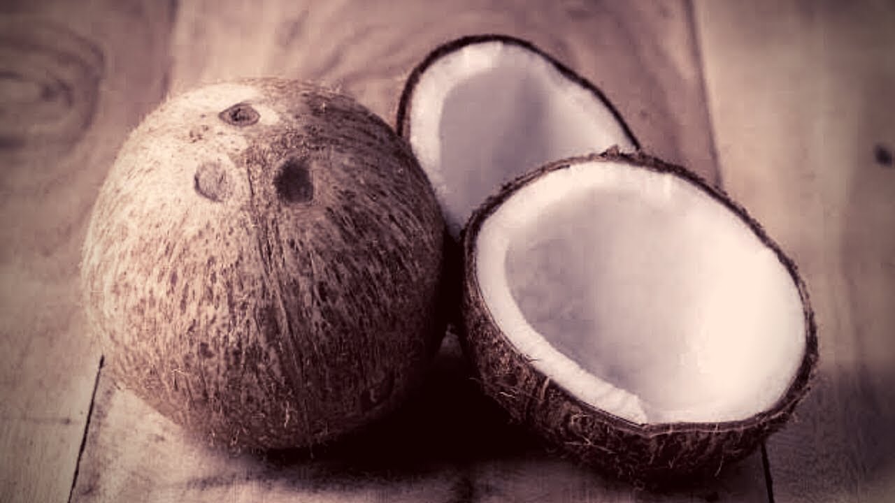 Coconut Sympathy for Love Union (Leave your loved one attached to you)