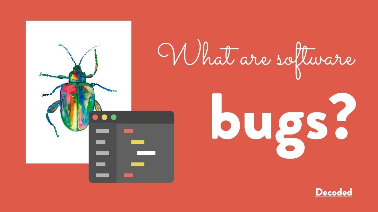 What are software bugs | Decoded