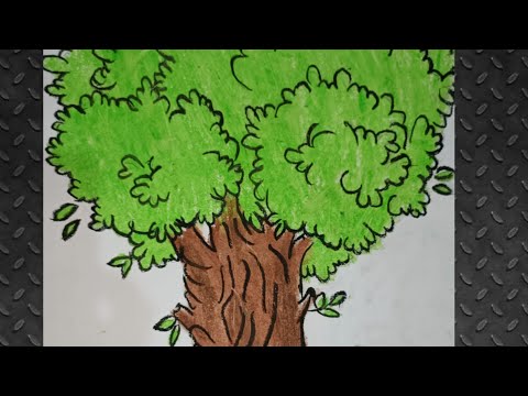 cartoon tree drawing...