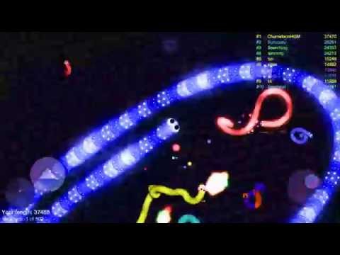 Steam Community :: Video :: slither.io ChameleonHUM Record 43380