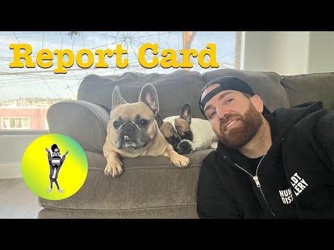 Report Card