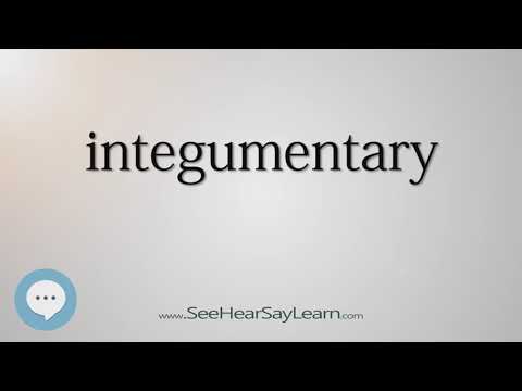 integumentary (Every English Word Pronounced) πππ£οΈπβ
