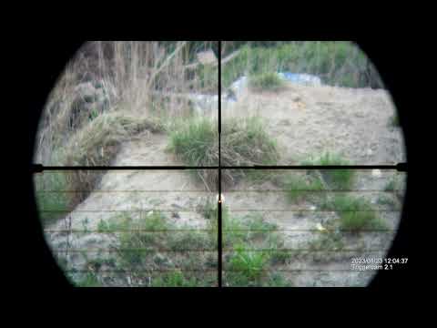 cz 457 mdt zero check at 100yds