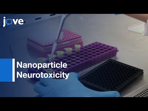 Microglia as Surrogate Biosensor for Nanoparticle Neurotoxicity | Protocol Preview