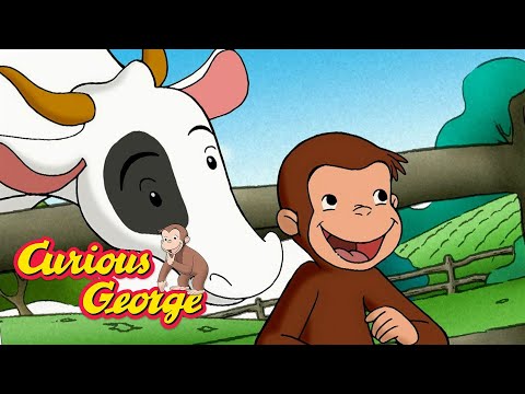 George Loves Cows 🐵 Curious George 🐵 Kids Cartoon 🐵 Kids Movies