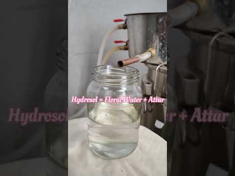 🌹Making of Perfumes🥰| Attars and Essential oil #natural #fragrance #flowers #perfume #attar