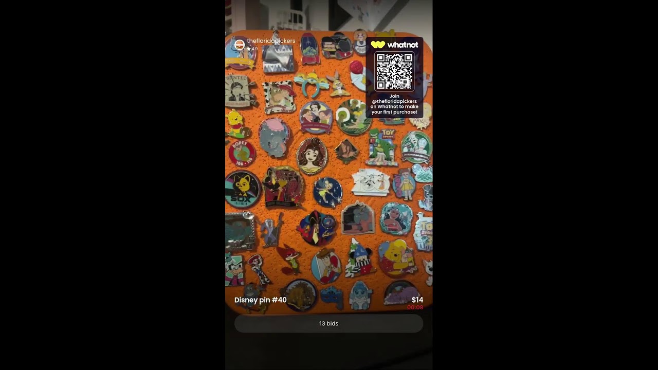 Disney PIN BUNDLES !!!