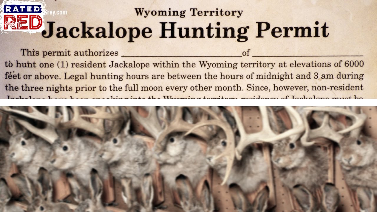 5 Things to Know About Jackalopes